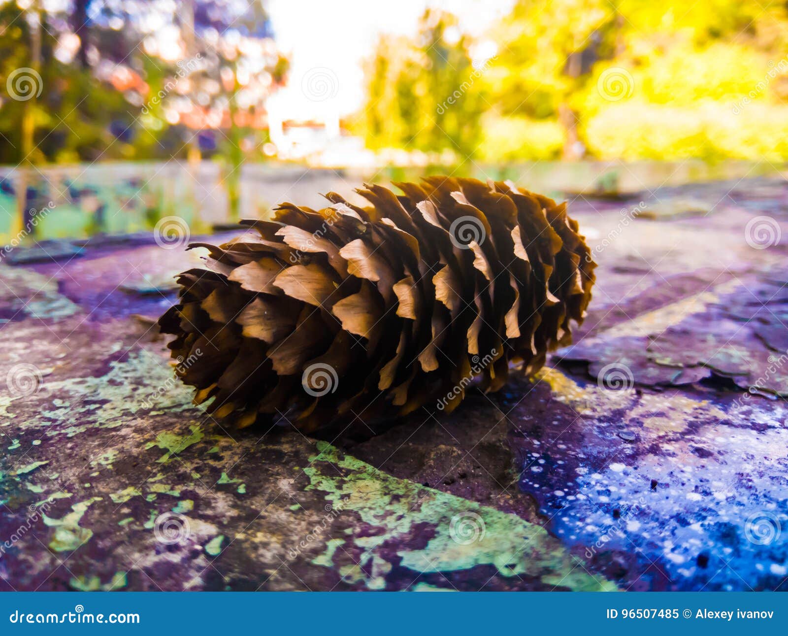 Shishka stock image. Image of smartphone, shishka, zavoda - 96507485