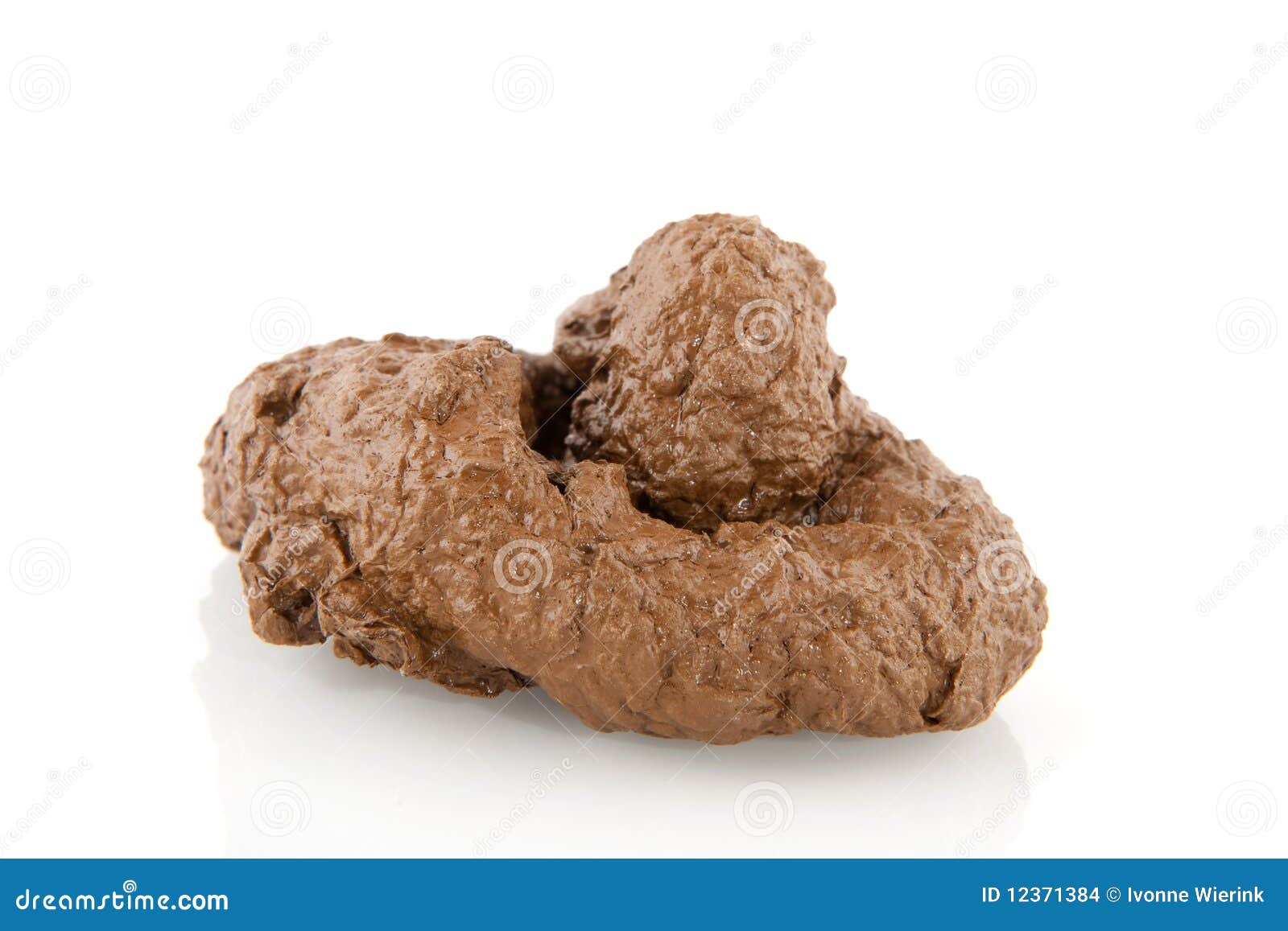 Shit stock photo. Image of stench, stools, faeces, turd - 12371384