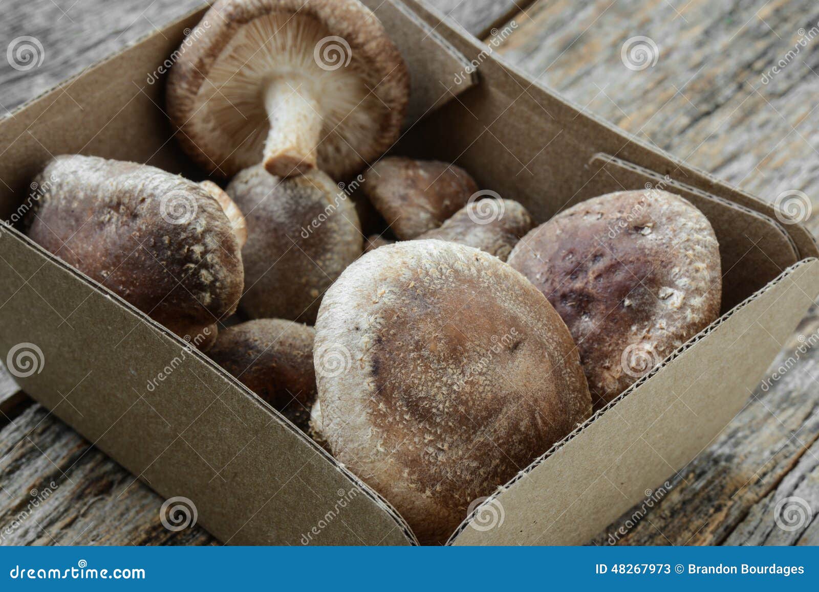 Shitake Mushroom in Cardboard Packaging Stock Image - Image of autumn ...
