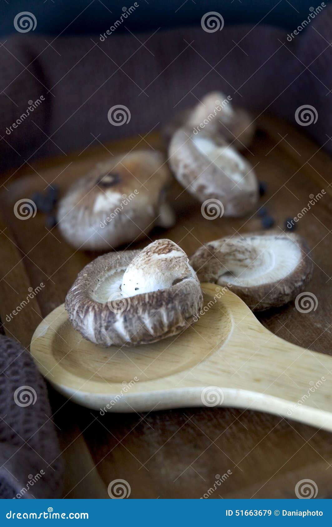 Shitake mushroom stock image. Image of food, healthy - 51663679