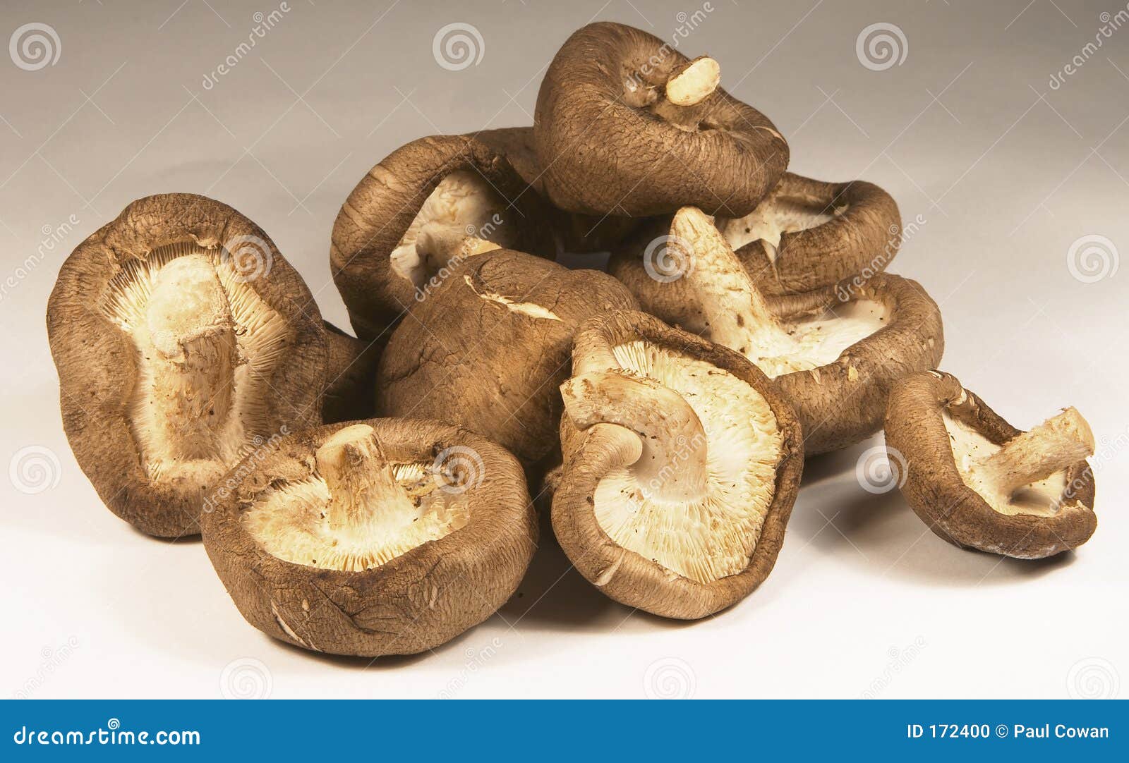 Shitake mushrooms 1 stock photo. Image of stem, exotic - 172400