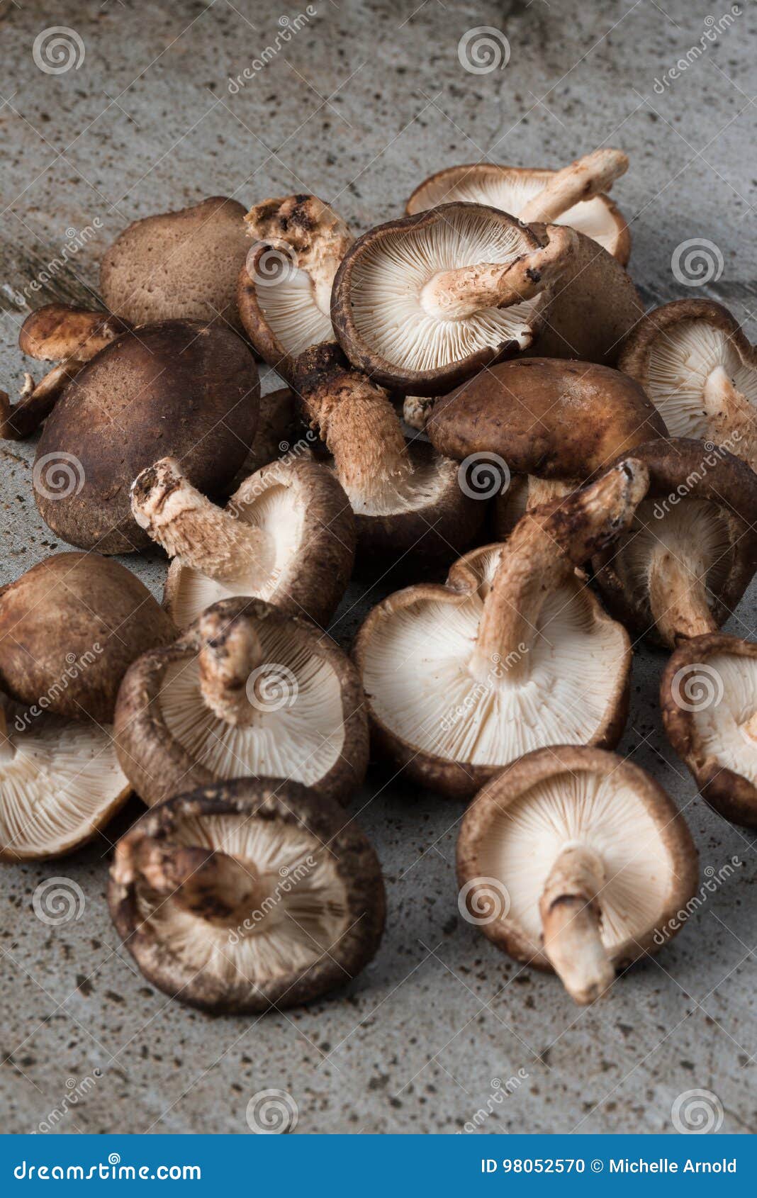 Shiitake Mushrooms stock photo. Image of mushrooms, uncooked - 98052570