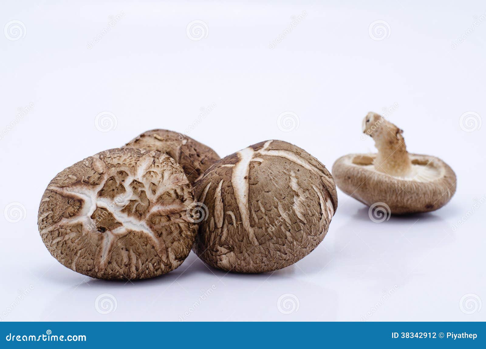 Shitake mushrooms stock photo. Image of mushroom, longevity - 38342912