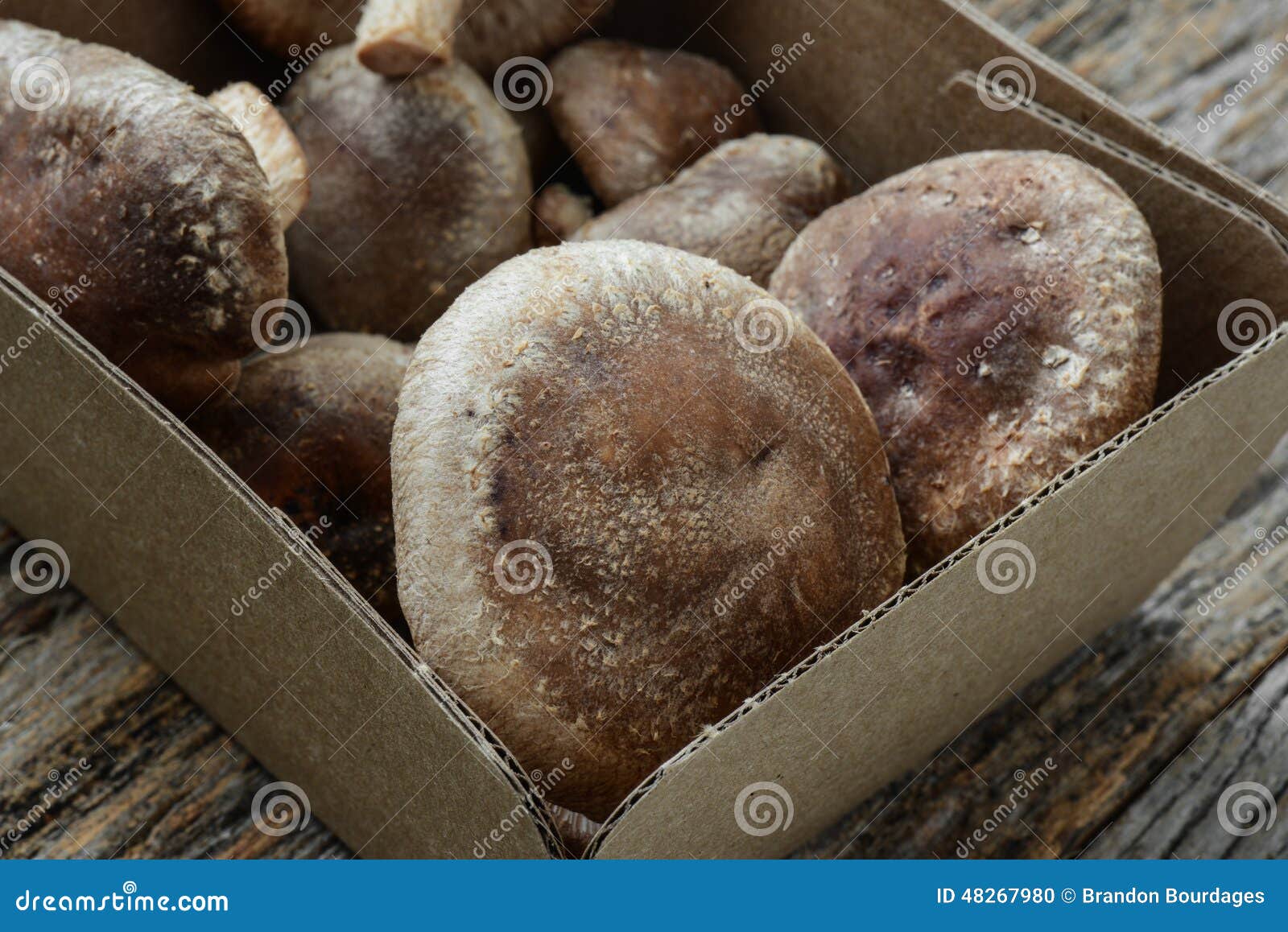 Shitake Mushrooms stock photo. Image of delicious, packaging - 48267980