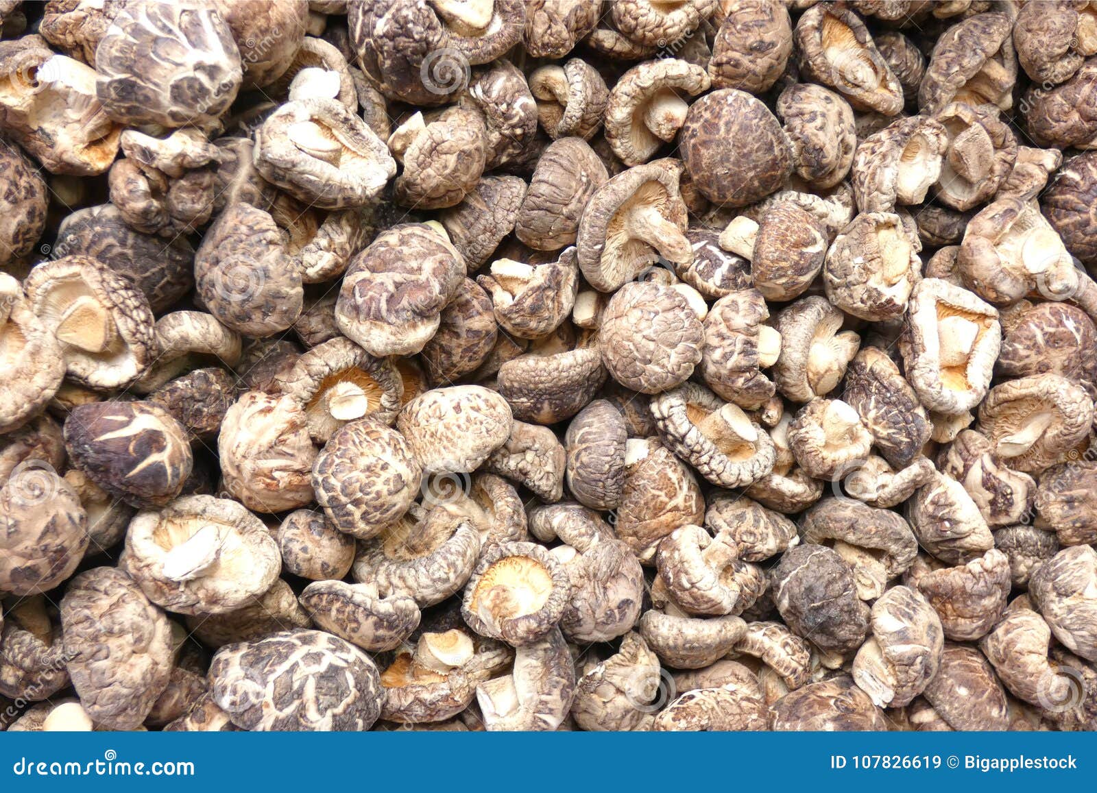 Shitake Mushrooms stock image. Image of stack, asian - 107826619