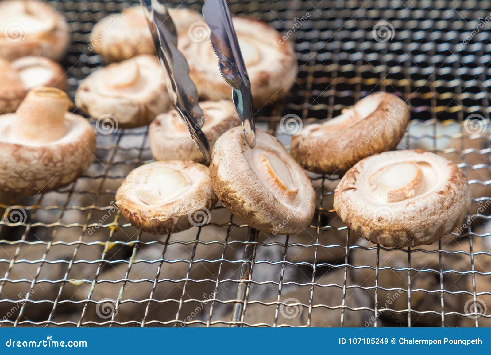 Shitake, Seta Japonesa, Siendo Asado a La Parrilla Imagen de archivo ...
