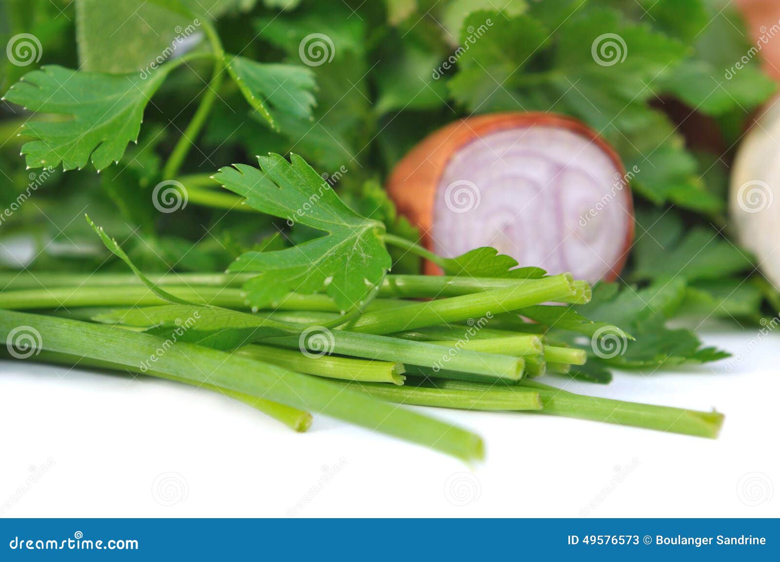 Shives and shallot stock image. Image of organic, plant - 49576573