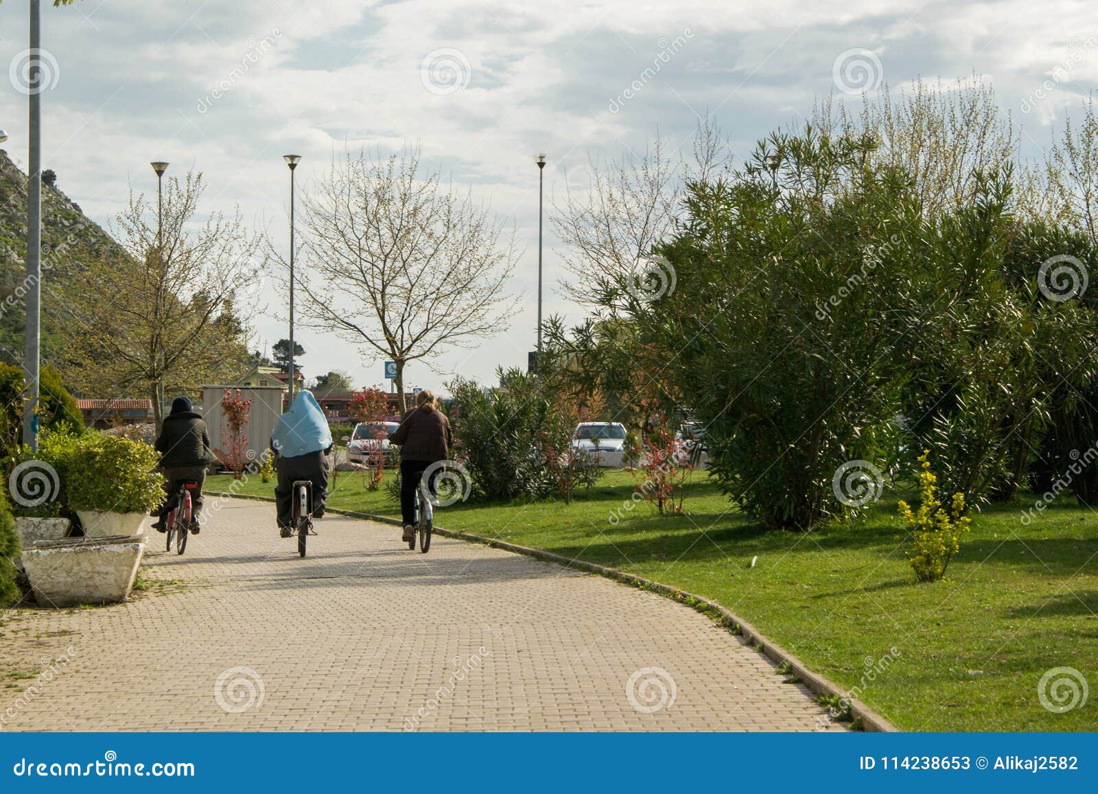 People Riding Bicycle in the City Park Editorial Stock Photo - Image of ...