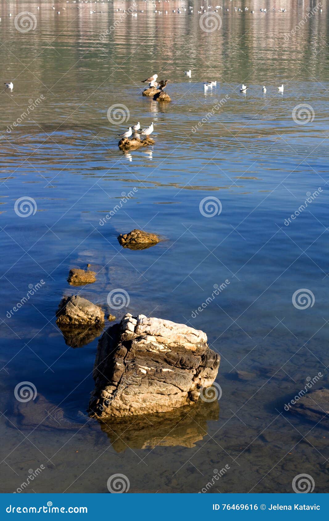 Shoal stock photo. Image of coast, stobrec, shoal, scenic - 76469616