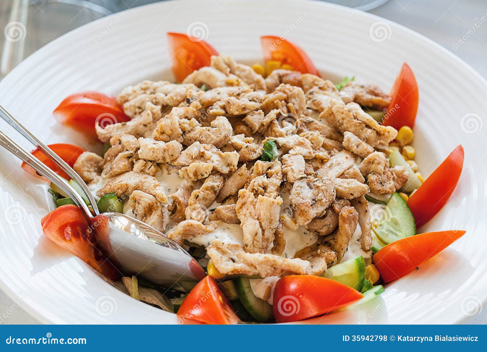 Shoarma salad stock photo. Image of salad, dressing, appetizer - 35942798