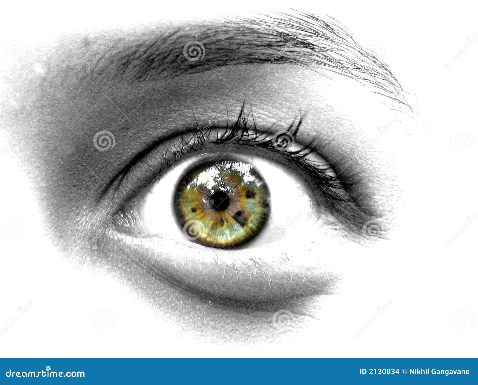 Shocked stock photo. Image of expressions, eyes, looking - 2130034