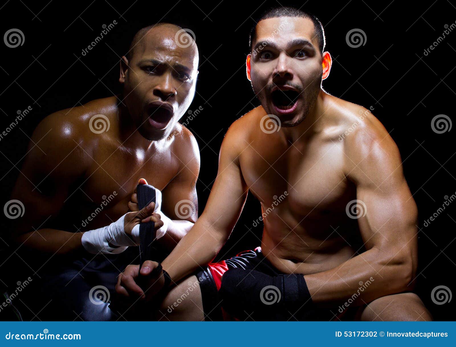 Shocked Boxer and Trainer stock photo. Image of athletic - 53172302