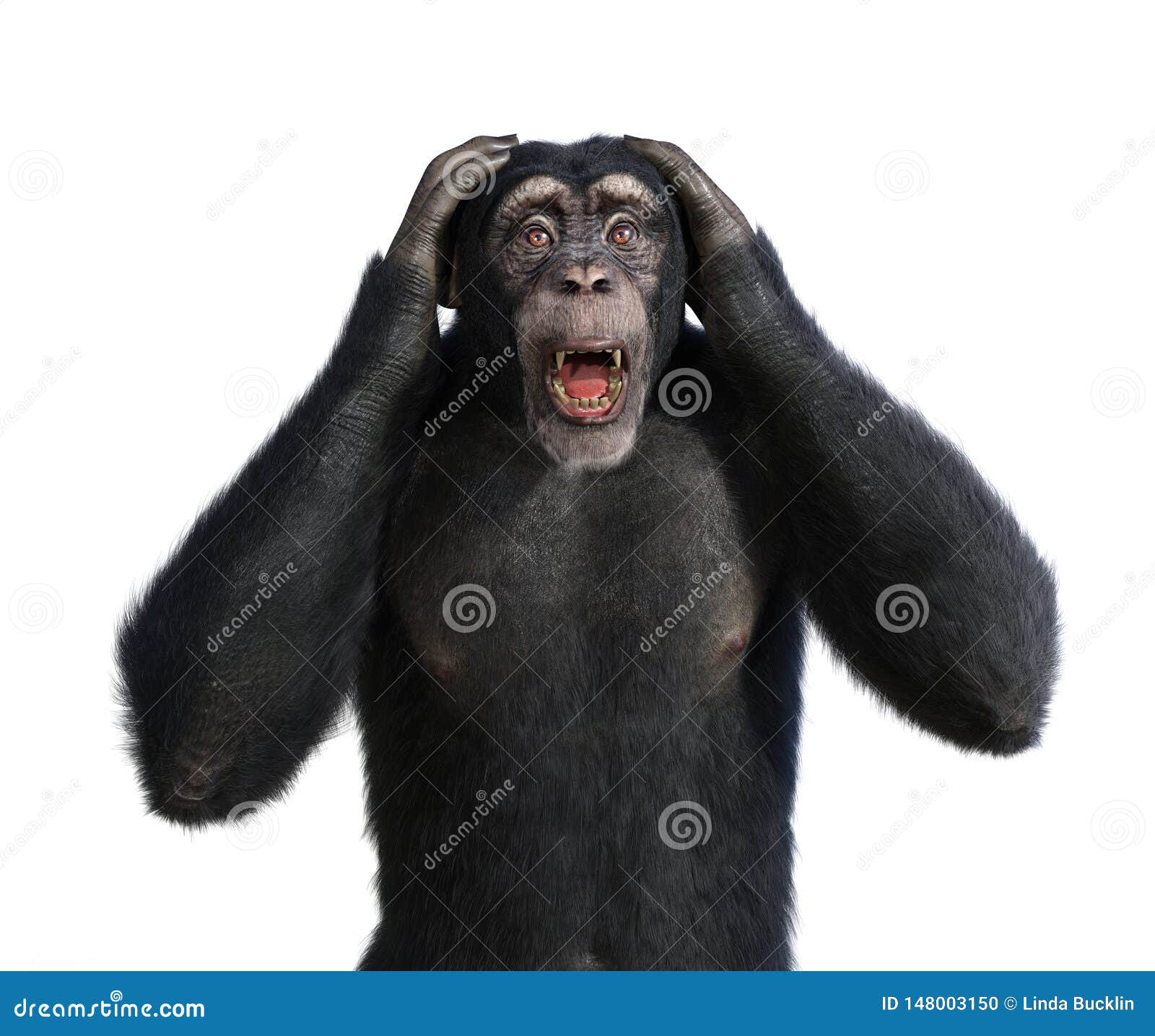 Shocked Chimp stock illustration. Illustration of terror - 148003150