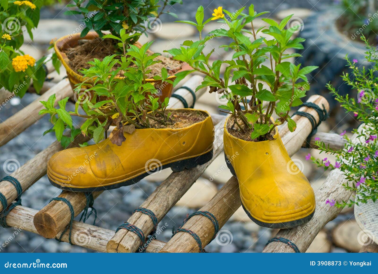Shoe flowerpot stock image. Image of park, grass, flowerpot - 3908873