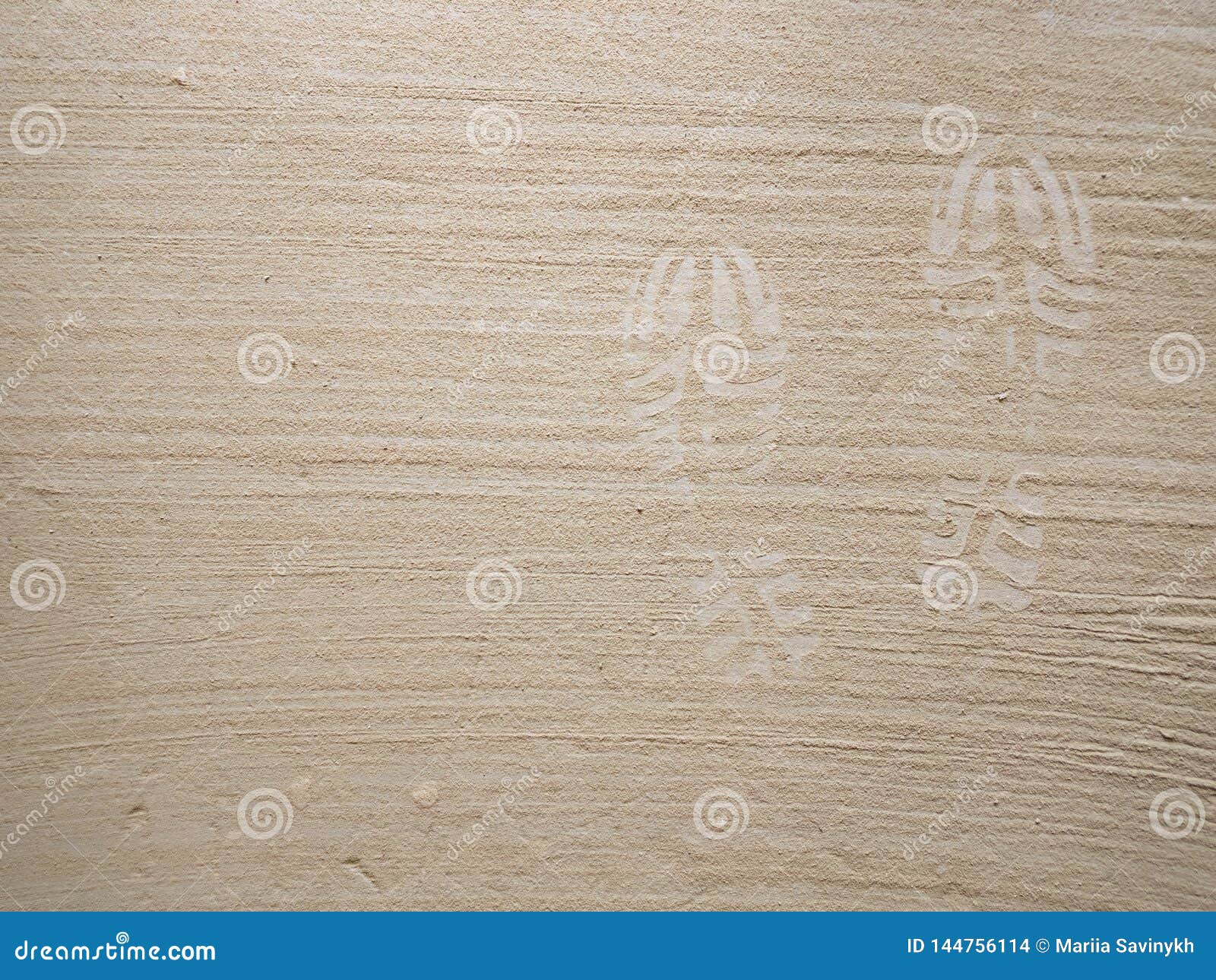 Dust Footprint On Wooden Pallet Royalty-Free Stock Photo ...