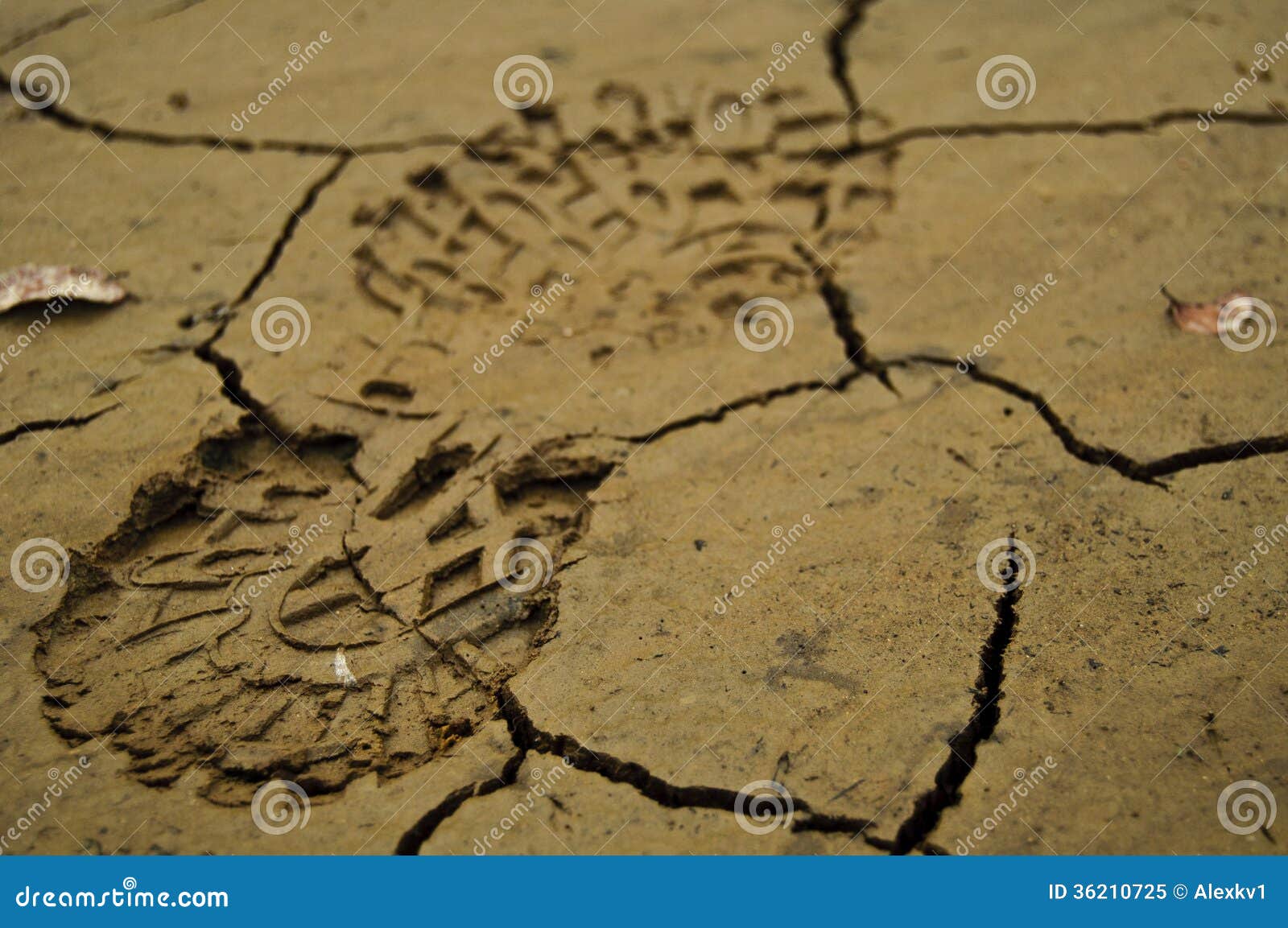 Shoe footprint in mud stock image. Image of nature, print - 36210725