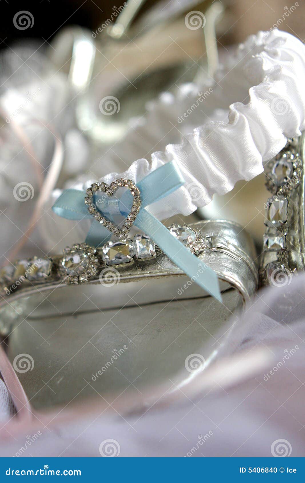 Shoe Garter stock photo. Image of feet, foot, wedding - 5406840