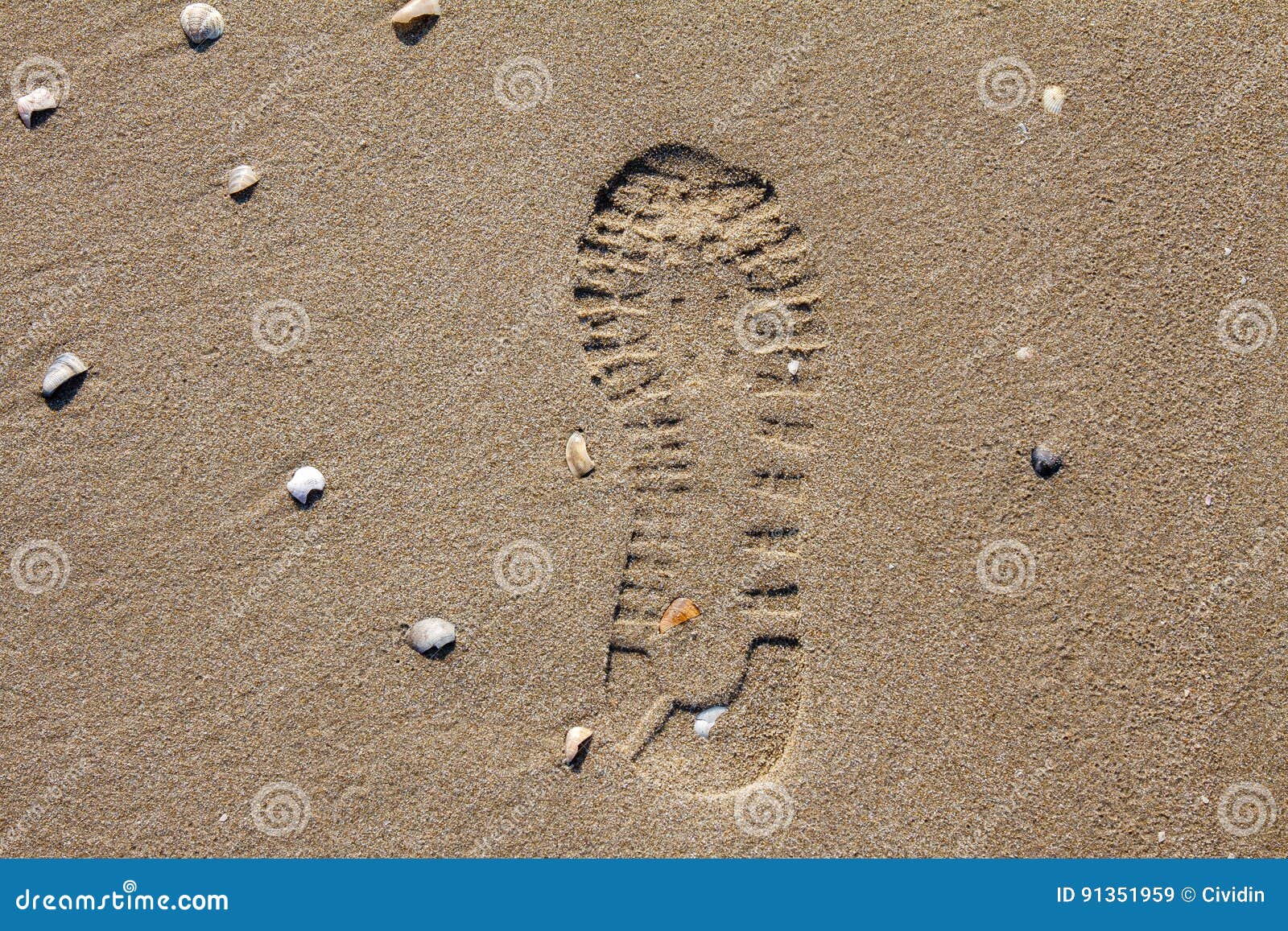 Shoe Imprint in the Sand of a Beach Stock Image - Image of granular ...