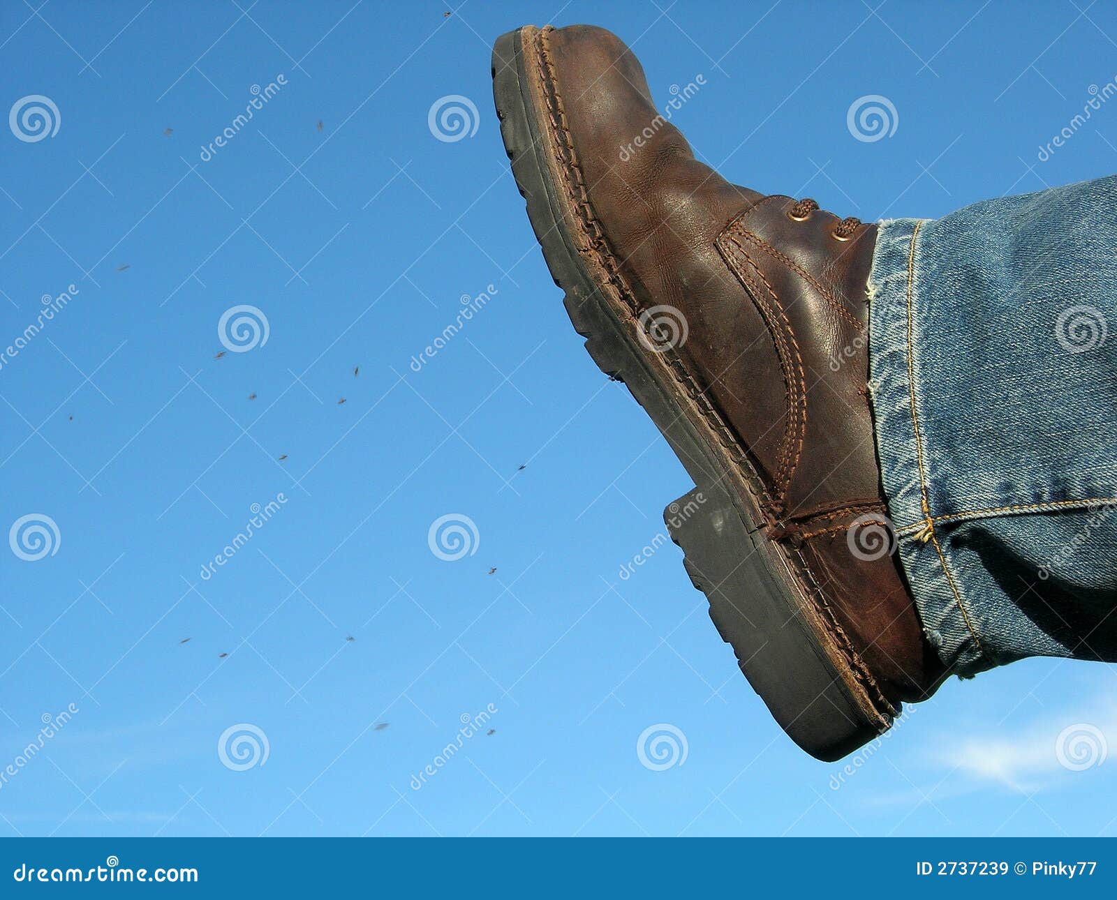 Shoe with Insects III stock image. Image of stinking, midge - 2737239