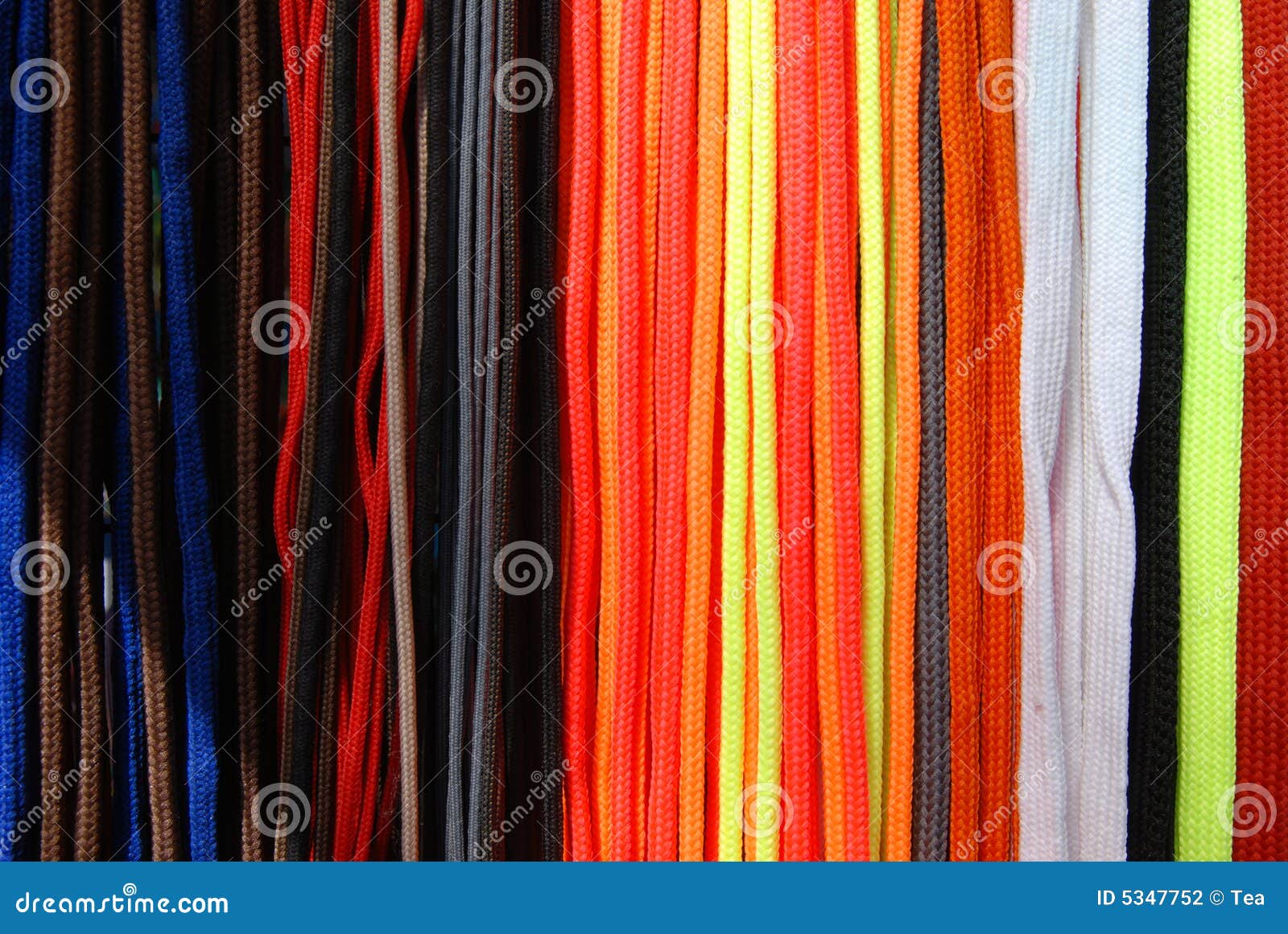 Shoe-laces stock photo. Image of texture, glaring, rope - 5347752