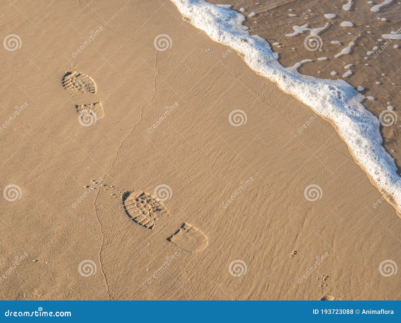 Shoe marks on the beach stock photo. Image of background - 193723088