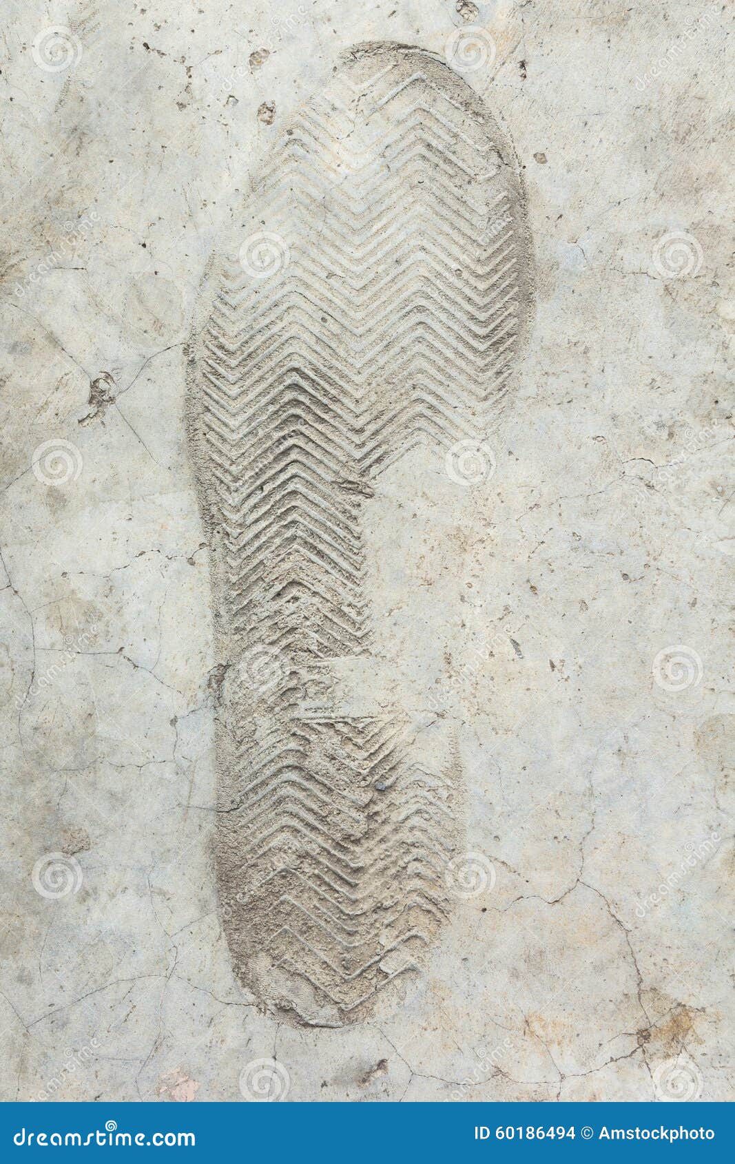 Shoe Print In Concrete Background Stock Photo - Image of textured ...