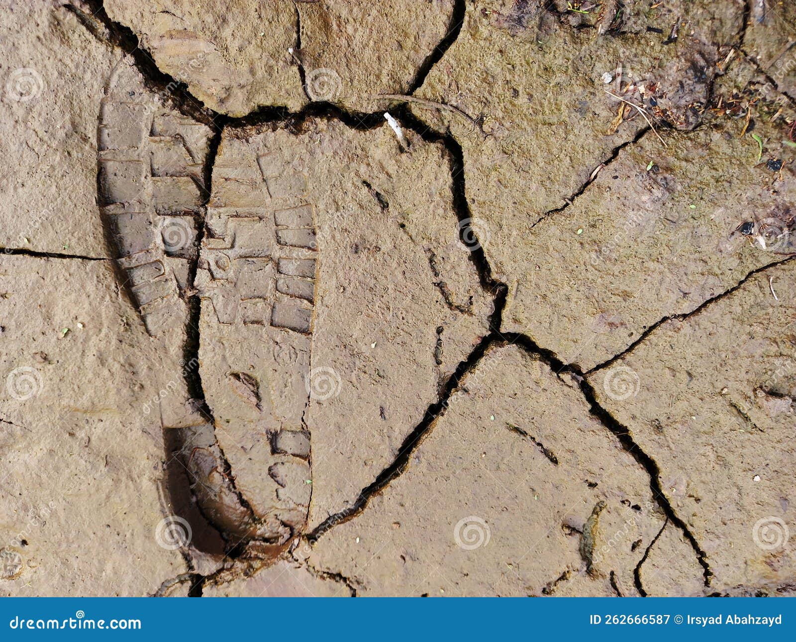 Shoe Print on Dry Muddy Ground Stock Image - Image of muddy, nature ...