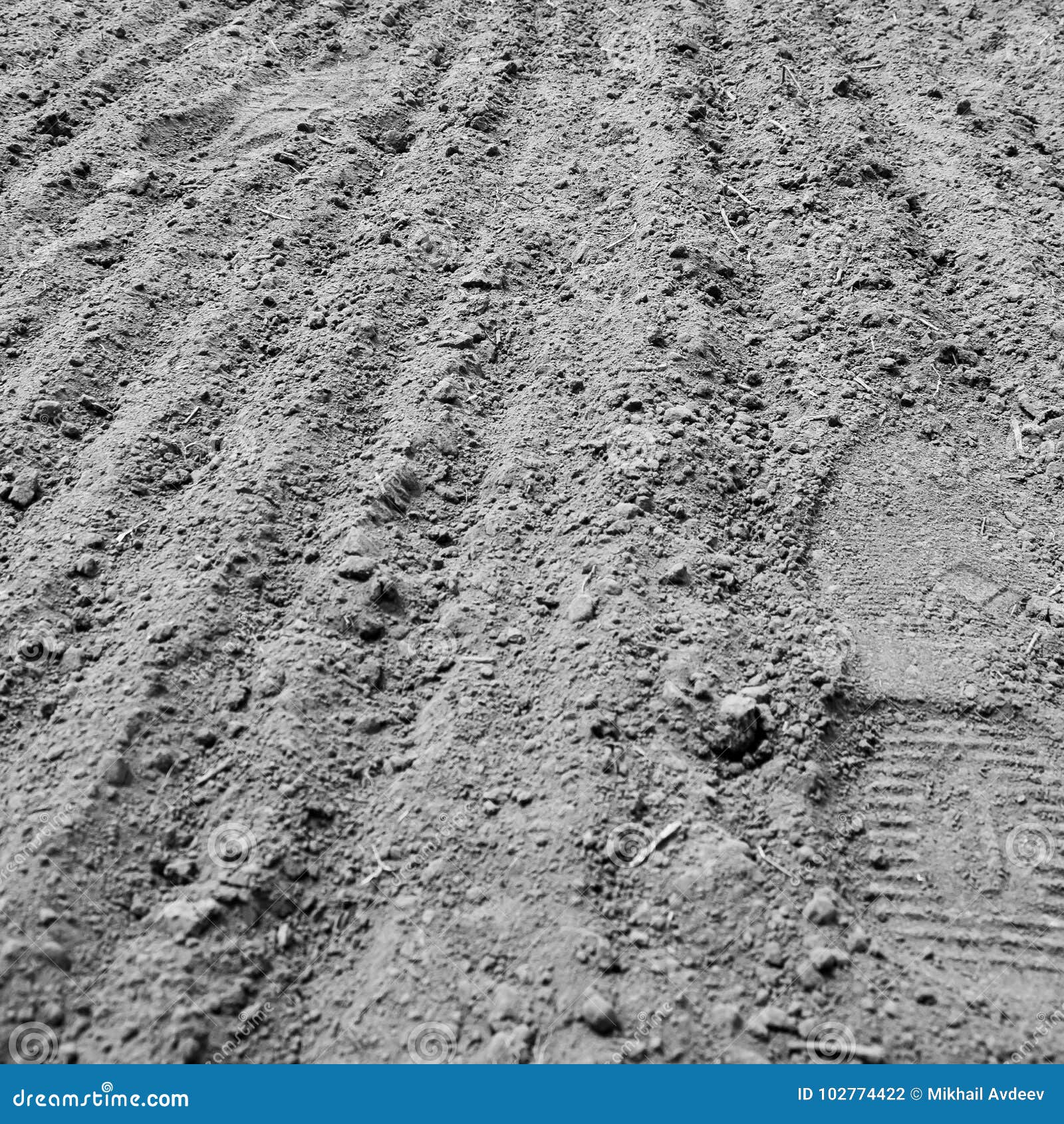 The Shoe print stock photo. Image of step, foot, ground - 102774422