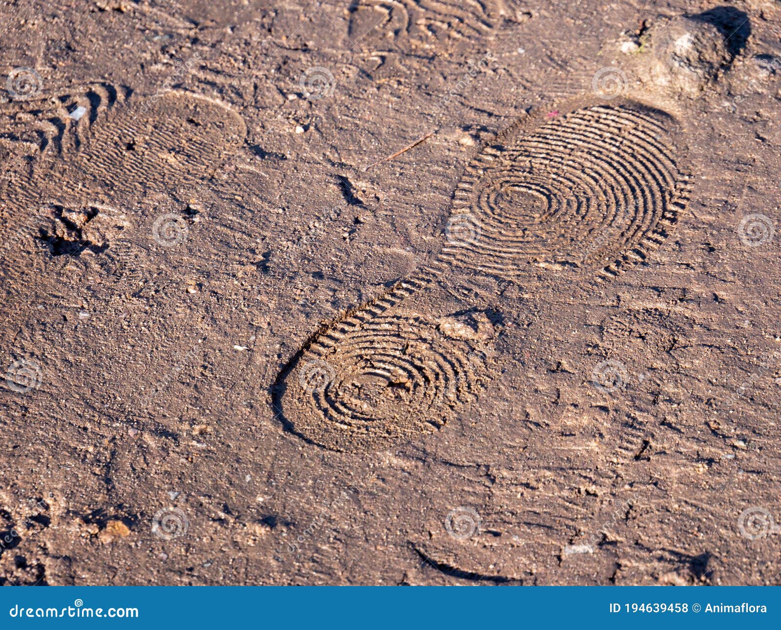 Boot Print In Dirt