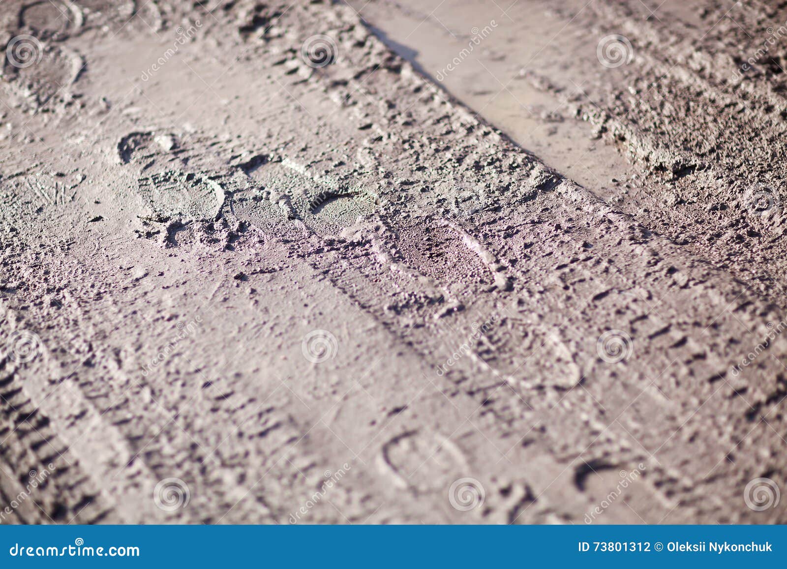 Shoe print in the mud stock photo. Image of pattern, human - 73801312
