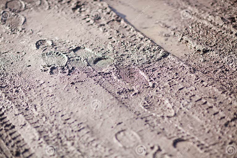 Shoe print in the mud stock photo. Image of pattern, human - 73801312