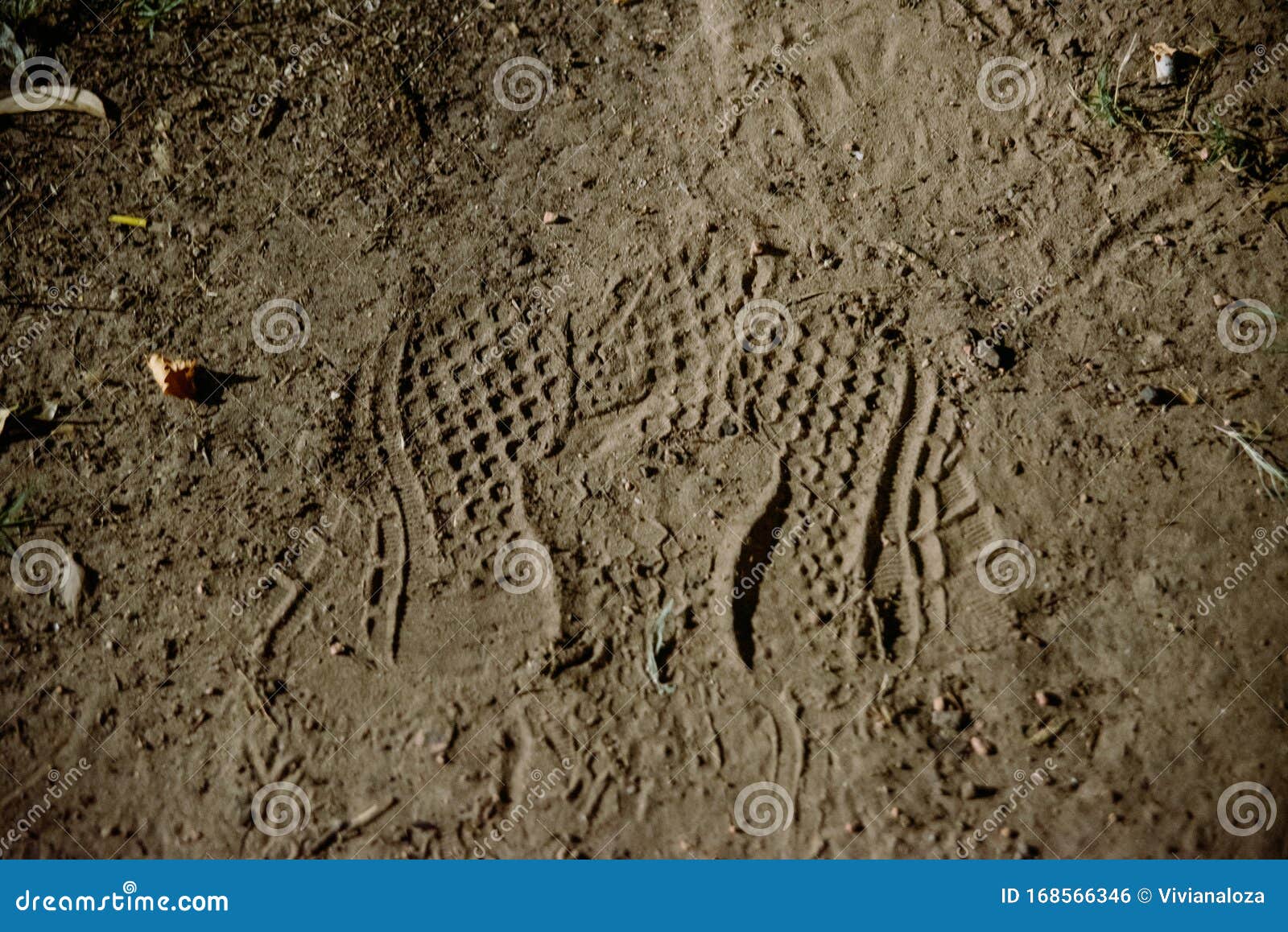 Shoe prints on the ground stock photo. Image of foot - 168566346
