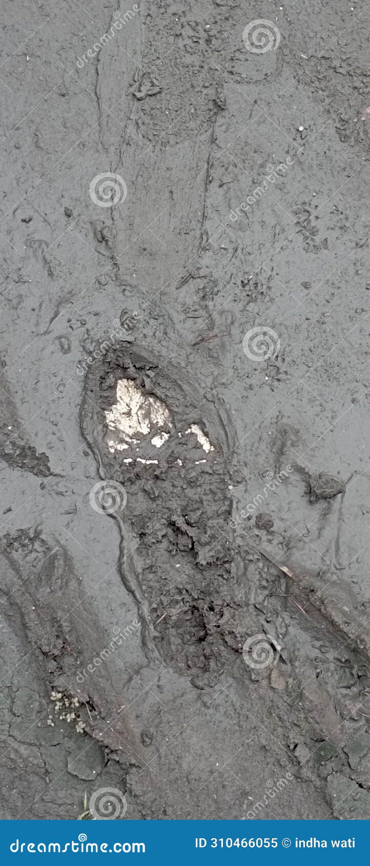 Shoe Prints on the Muddy Ground after Rainfall Stock Image - Image of ...