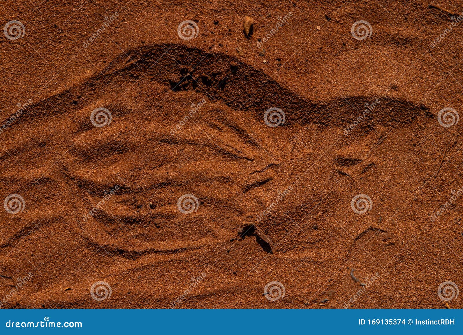 Shoe prints in the sand stock photo. Image of sand, hiking - 169135374