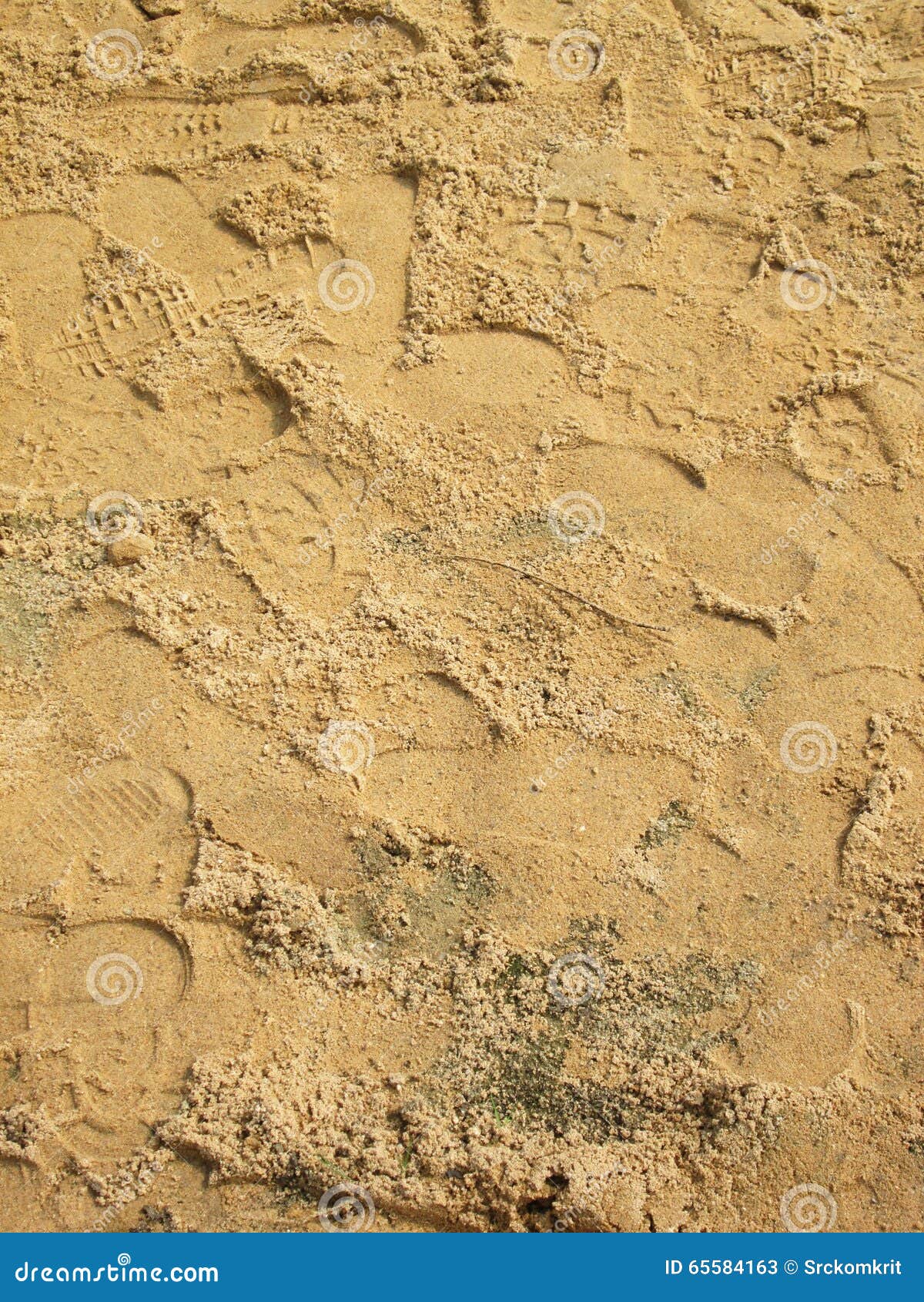 Shoe Prints in Sand in the Morning Stock Image - Image of direction ...