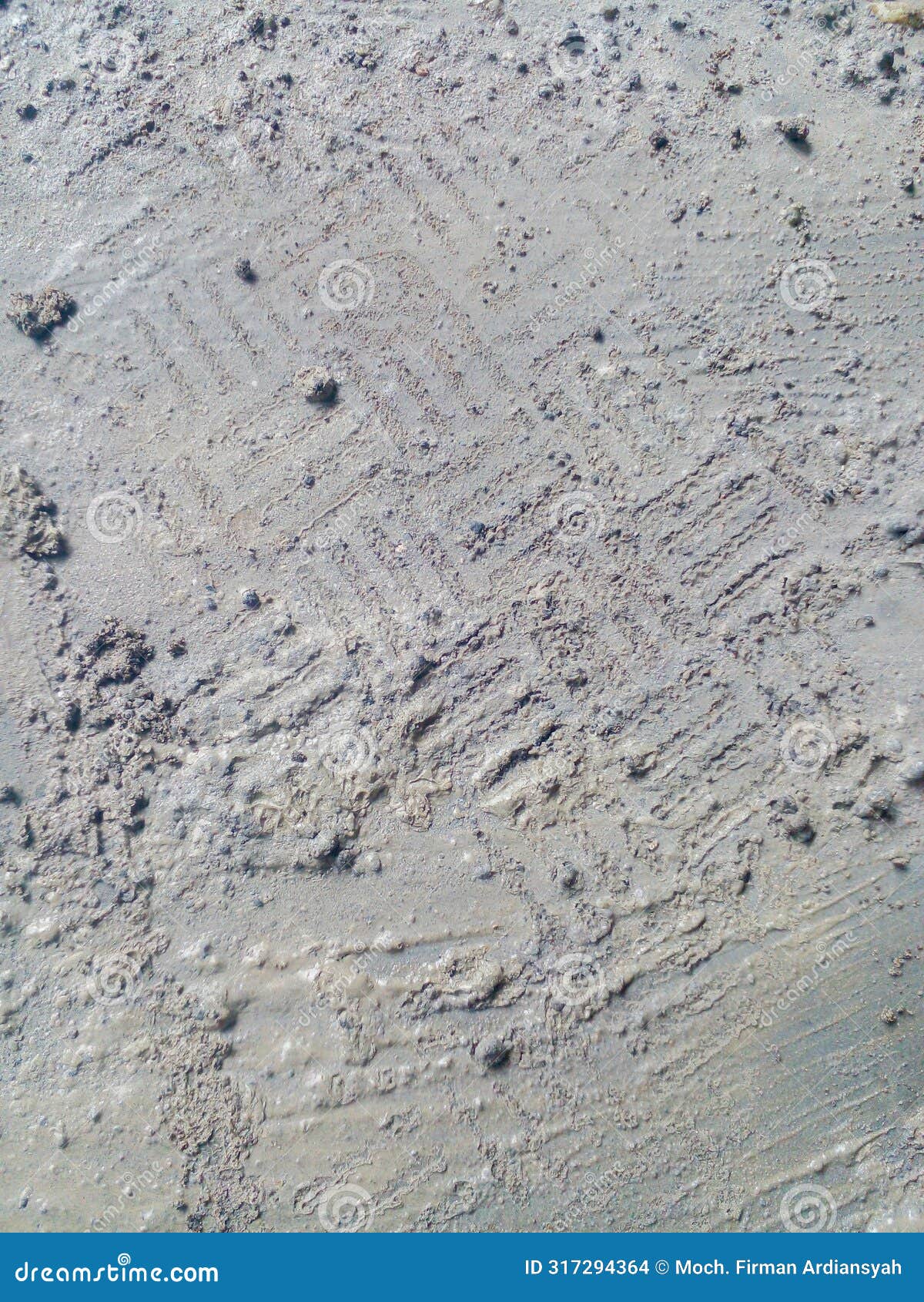 Shoe Prints in the Sand. Snapshot of Clear Shoe Prints Stock Photo ...