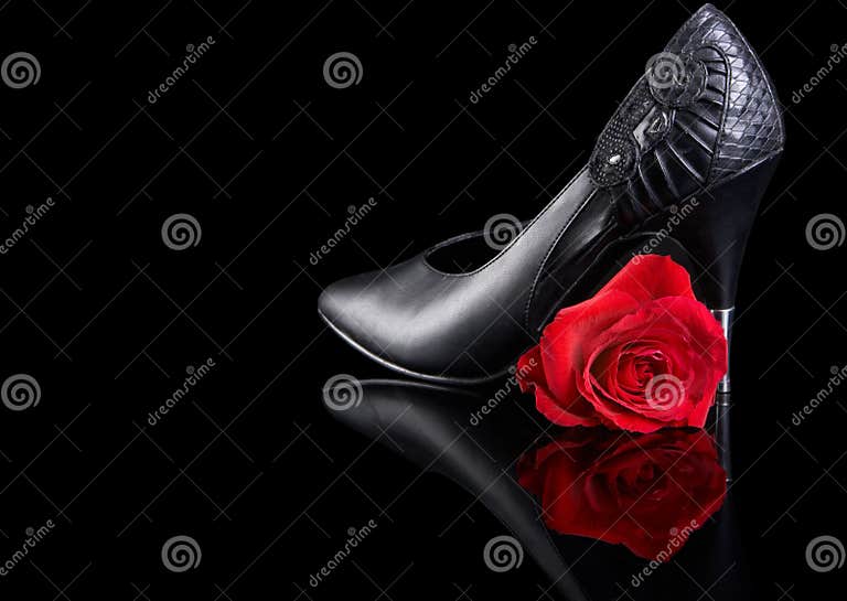 Shoe and rose stock image. Image of romantic, passion - 17694713