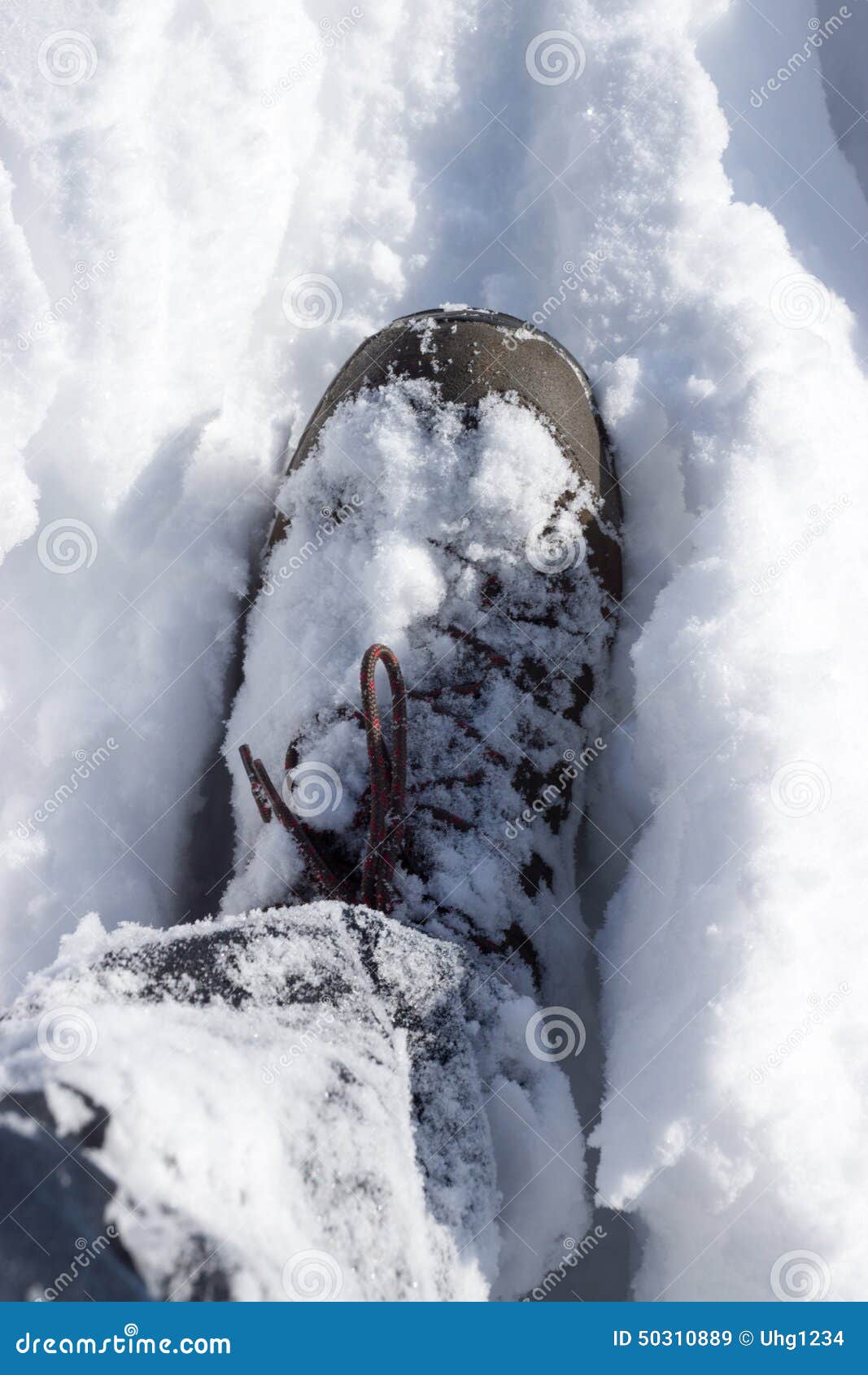 Shoe in Snow stock image. Image of winterly, white, advent - 50310889