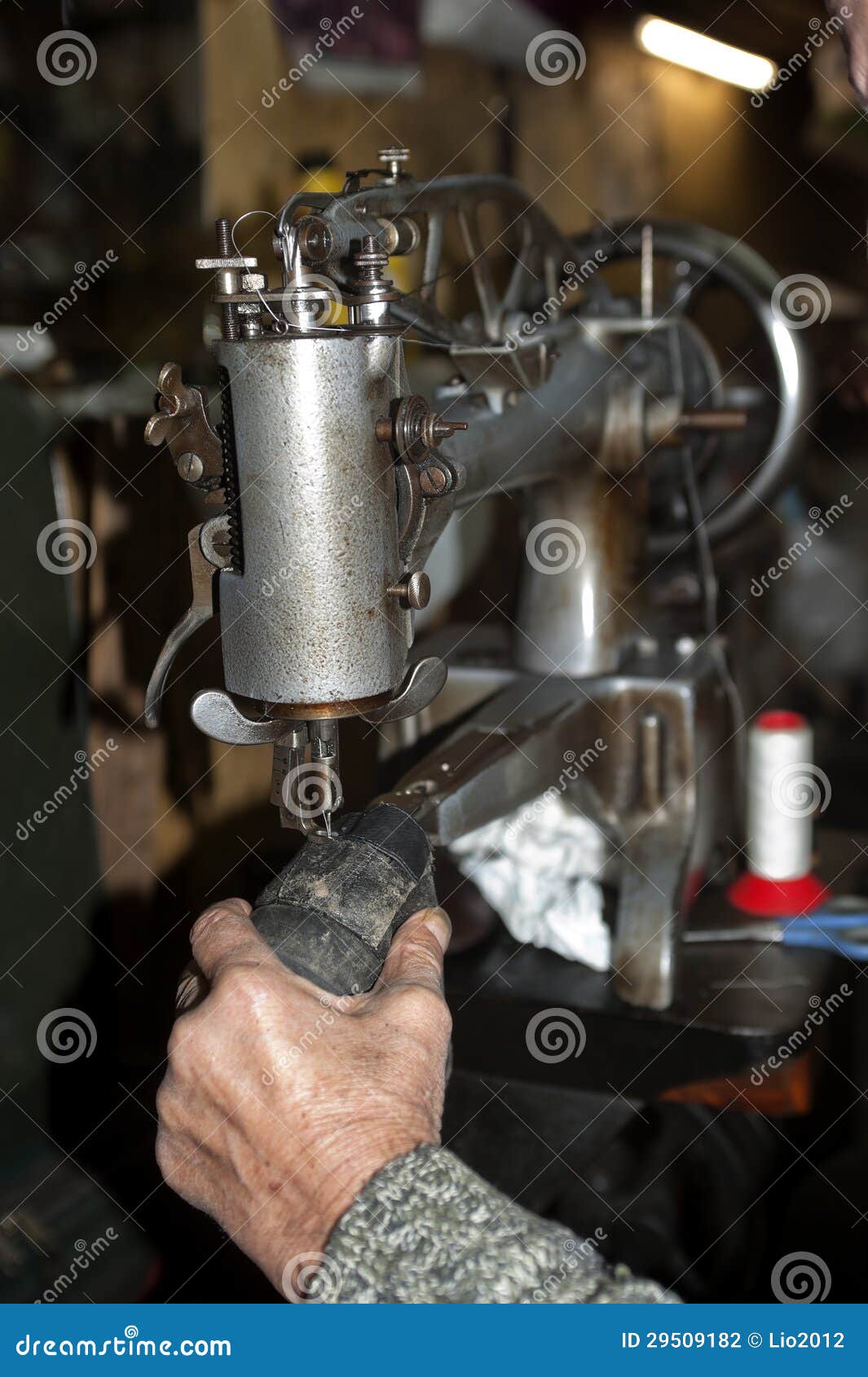 Shoemaker stock photo. Image of tools, indoor, craft - 29509182