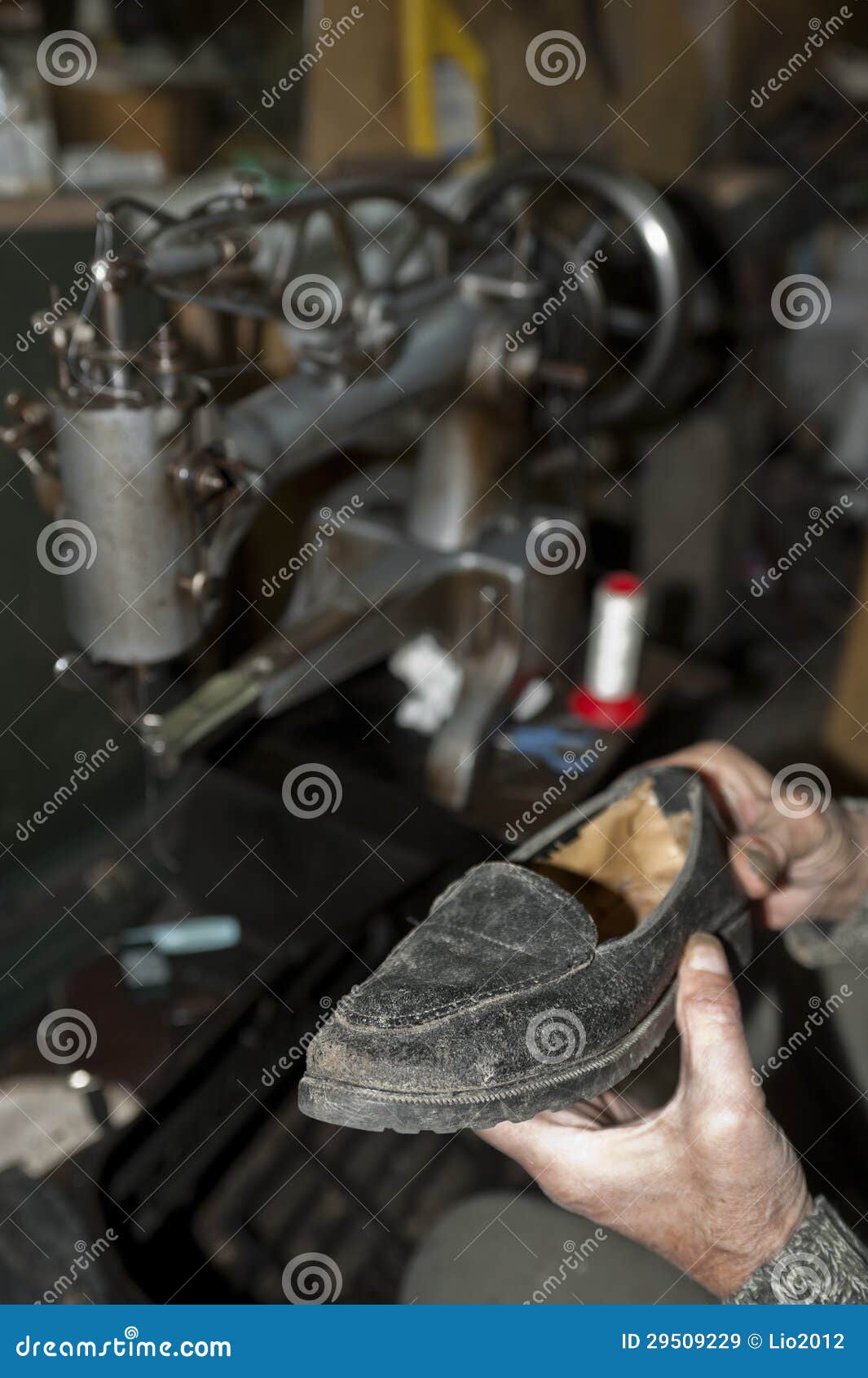 Shoemaker stock image. Image of manual, craft, tools - 29509229