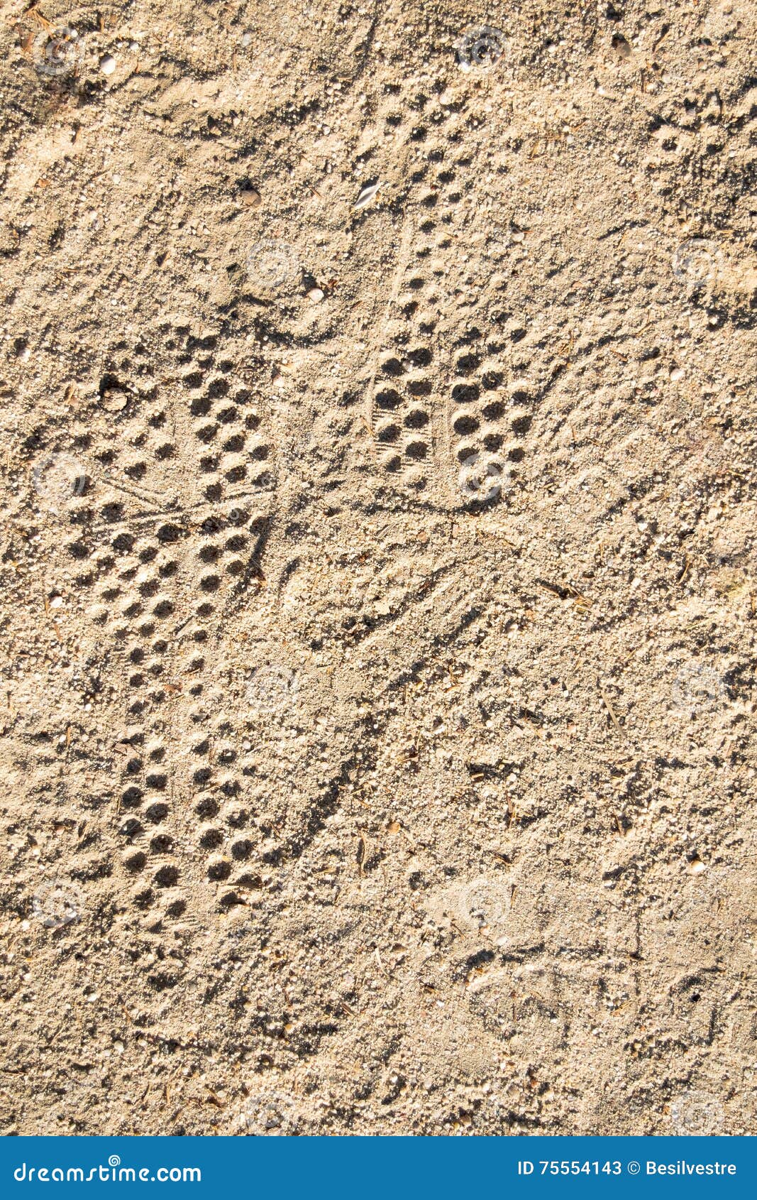 Shoeprints. stock image. Image of surface, shoe, road - 75554143