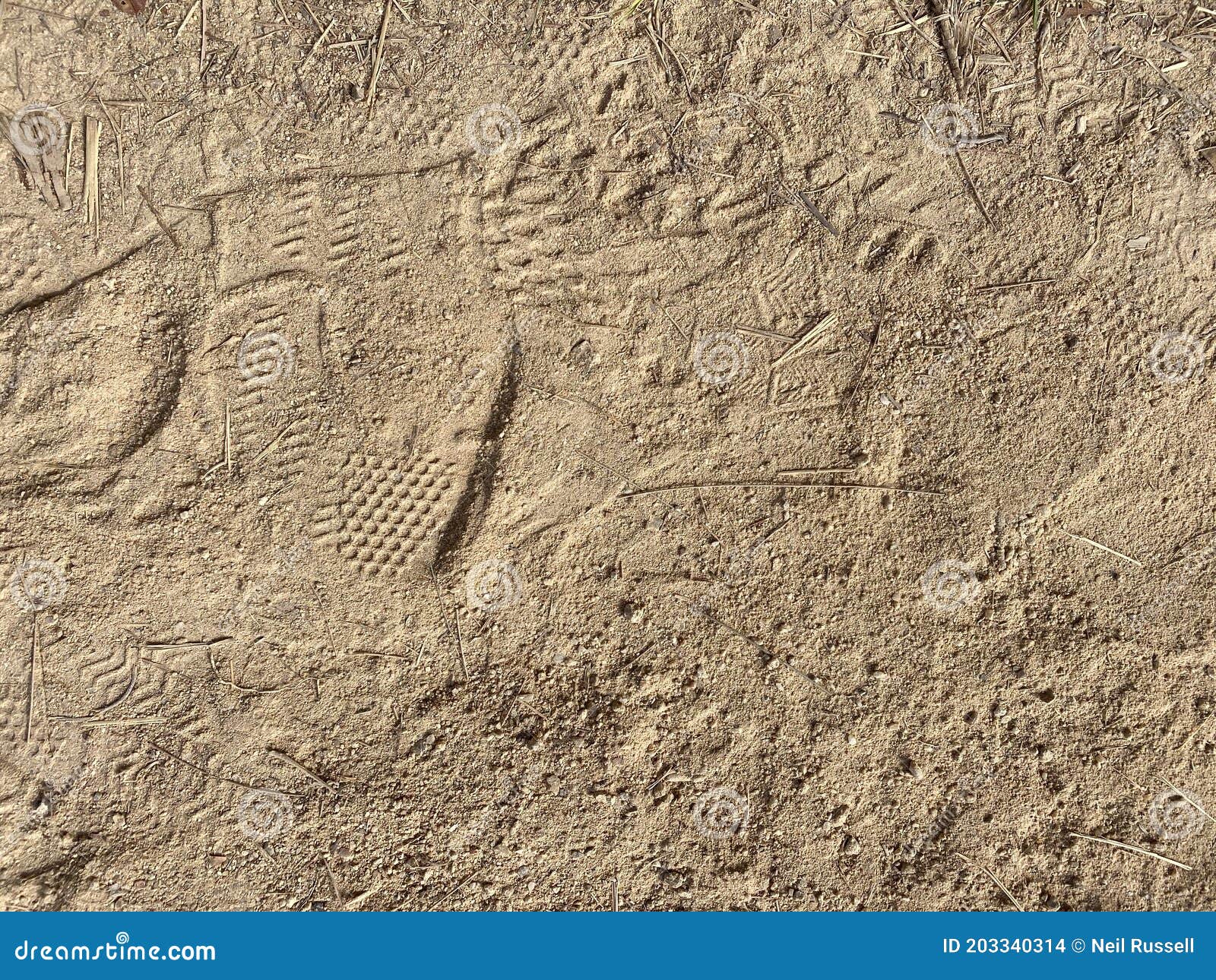 Shoeprints on a Trodden Path Stock Photo - Image of background, path ...