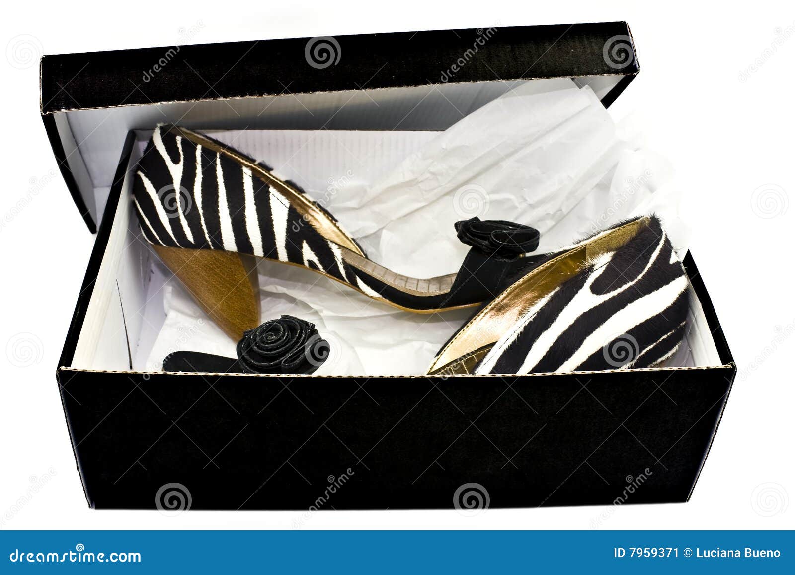 Shoes in a box stock image. Image of cardboard, style - 7959371