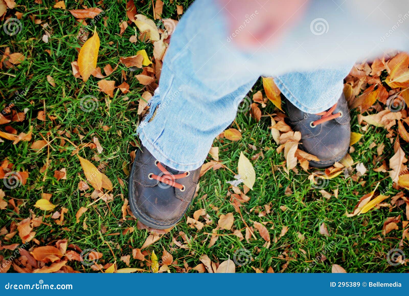 Shoes In Fall Picture. Image: 295389