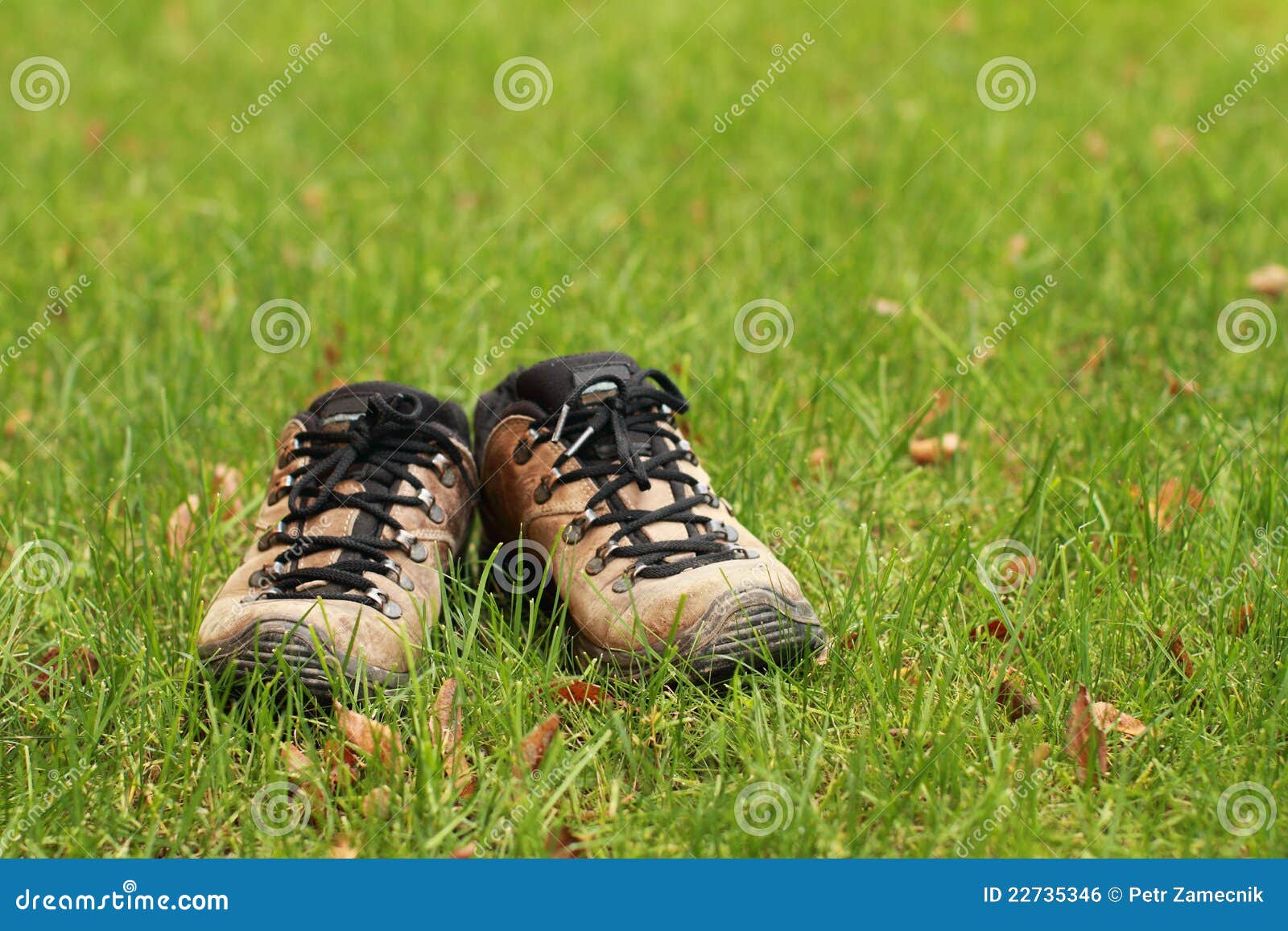 Shoes on the grass stock photo. Image of black, green - 22735346