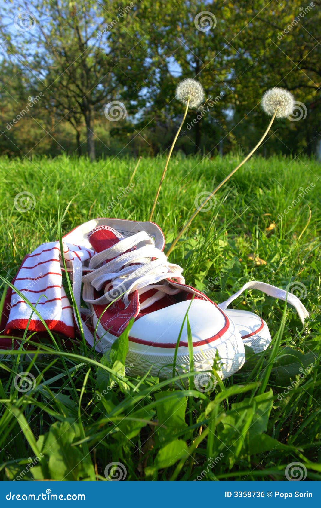 Shoes on grass stock photo. Image of recline, outside - 3358736