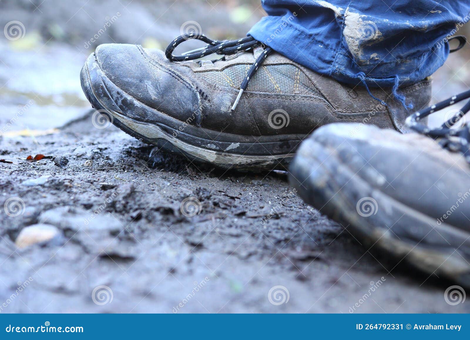 Shoes in the mud stock image. Image of sneakers, hand - 264792331