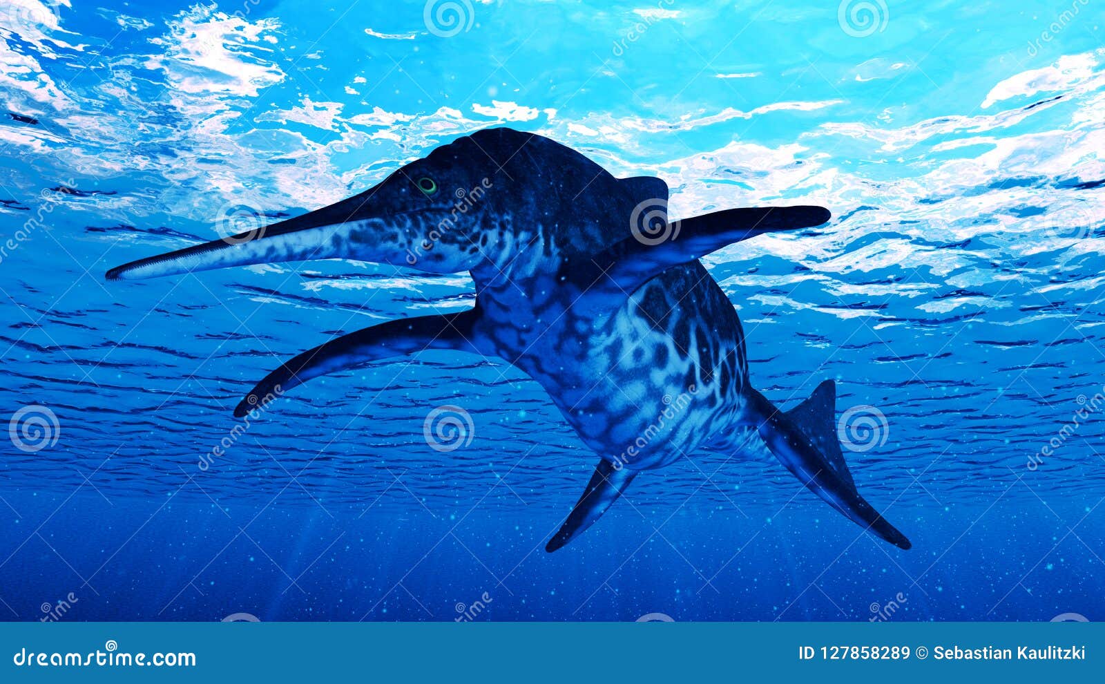 A Shonisaurus stock illustration. Illustration of reptile - 127858289