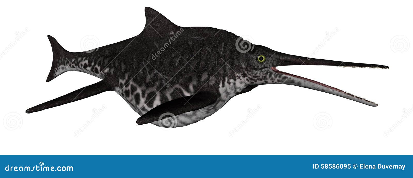 Dinosaur And Fish Skeletons In Paleontology Museum Royalty-Free Cartoon ...