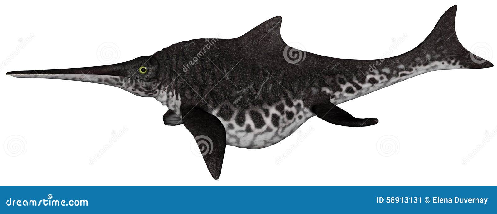 Dinosaur And Fish Skeletons In Paleontology Museum Royalty-Free Cartoon ...